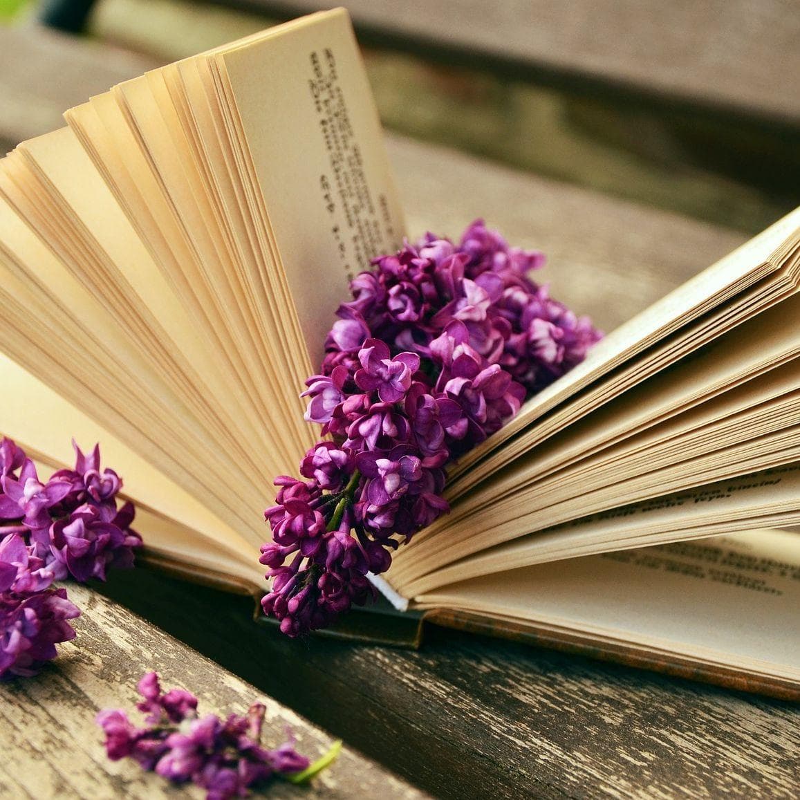 Lesbian Authors | Famous Gay Female Writer List