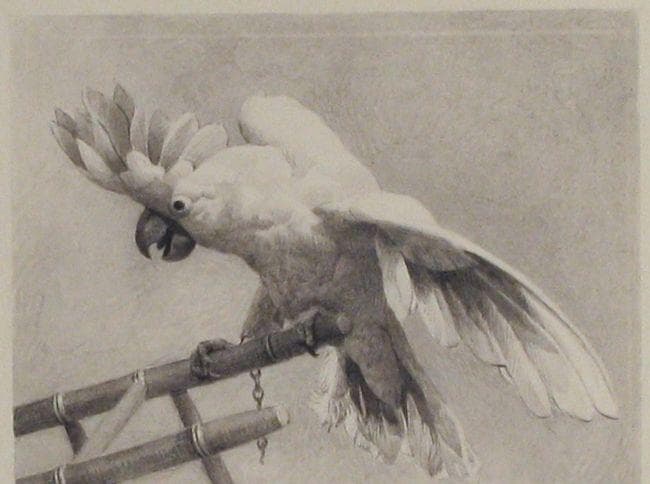 Weird History Readers Share The Funniest Historical Facts They Know