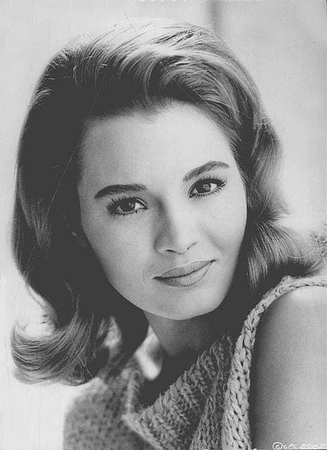 The Most Alluring Women Of The '60s, Ranked By Fans