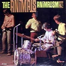 List of All Top Animals Albums, Ranked