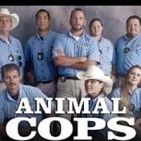 Best Animal Planet Shows | List of Top Animal Planet TV Programs and Series