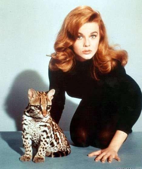 Celebrities Who Have Cats | List of Famous Cat People