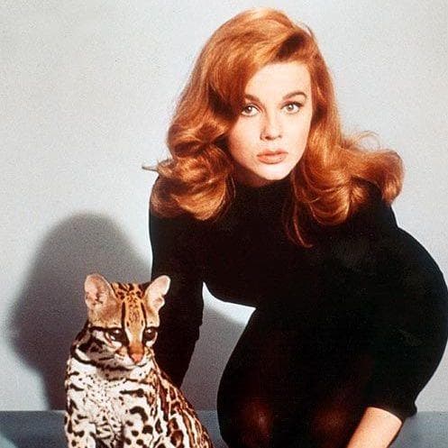 Famous Lutherans | List of Lutheran Celebrities