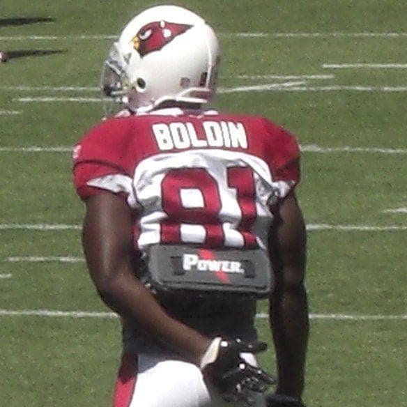 The Best Athletes Who Wore Number 81, Ranked By Fans