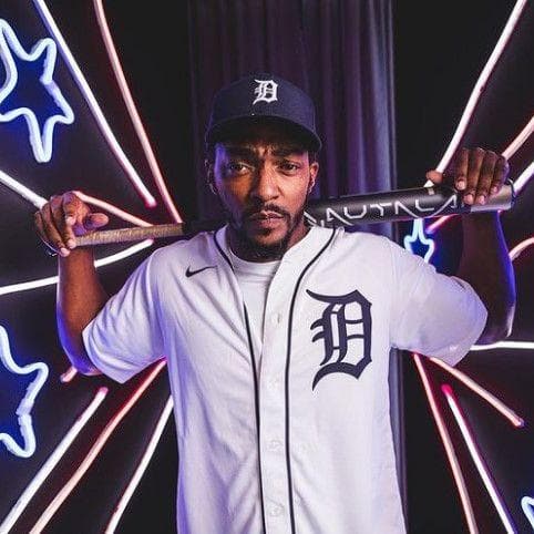 Celebrity Tigers Fans | Celebrities at Detroit Tigers Games