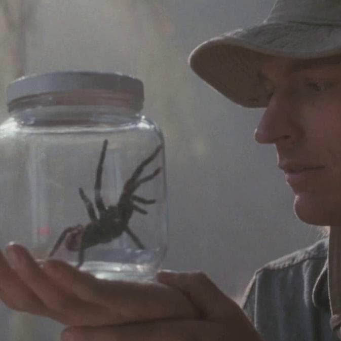 32 Scary Movies With Spiders, Ranked