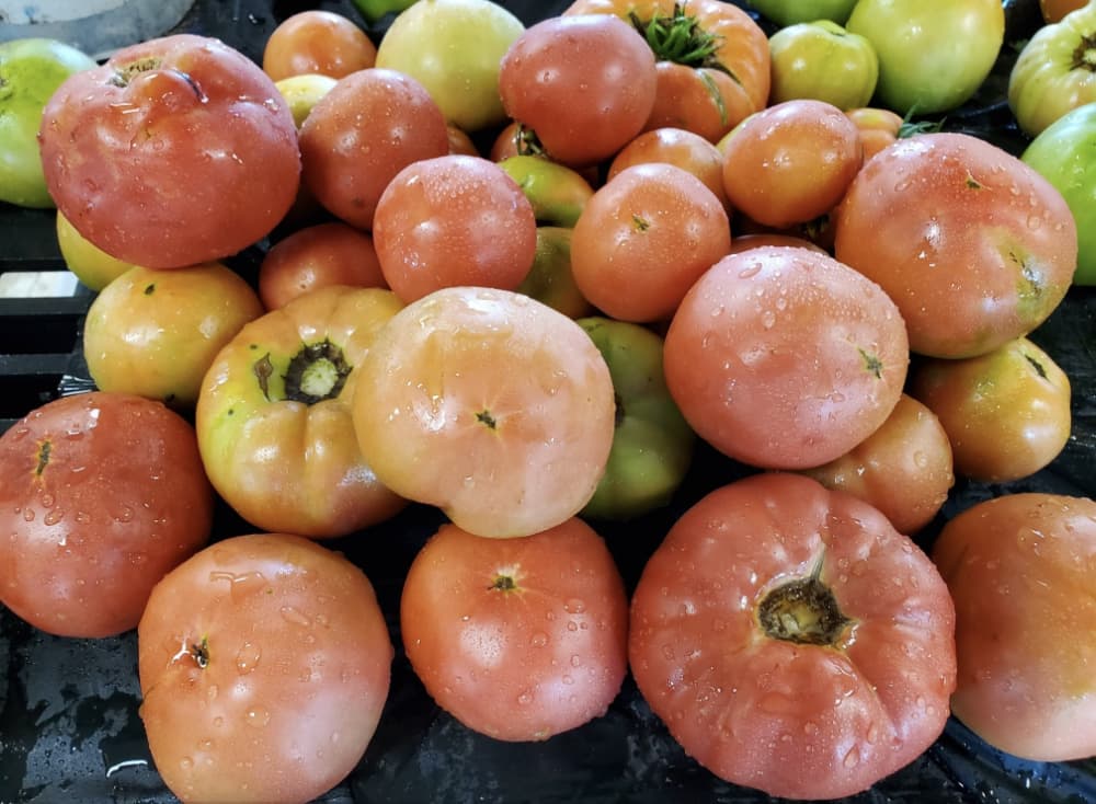 List of Official U.S. State Fruits