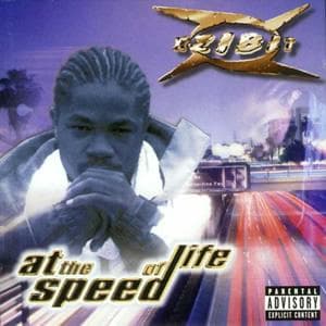 The Best Xzibit Albums, Ranked By Fans