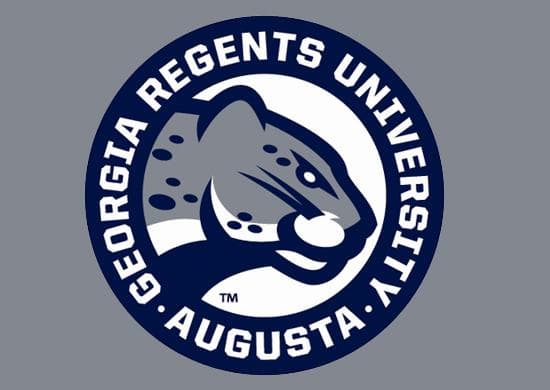 Jaguar Mascot Schools | List of Schools with Jaguar as their Mascot