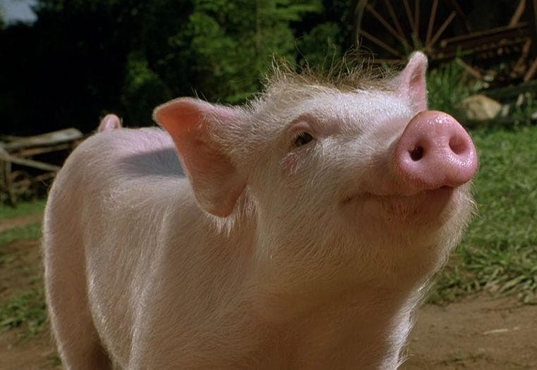 The 11 Most Impressive CGI Moments From The 1990s