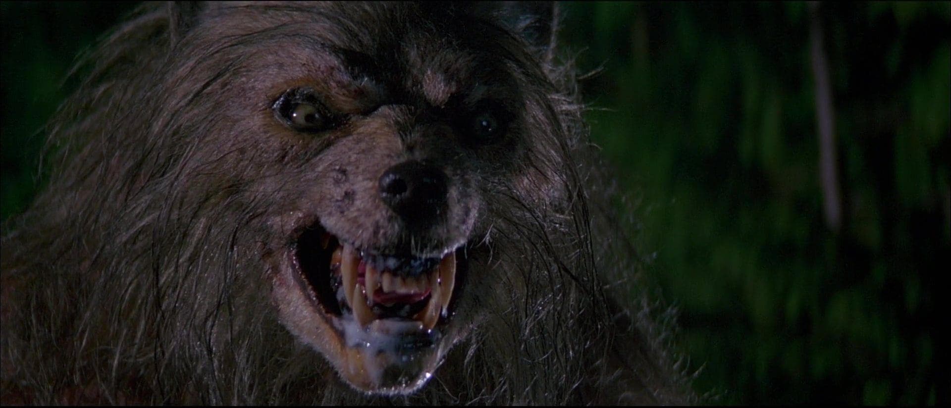 The 12 Most Underrated Werewolf Movies, Ranked By Fans