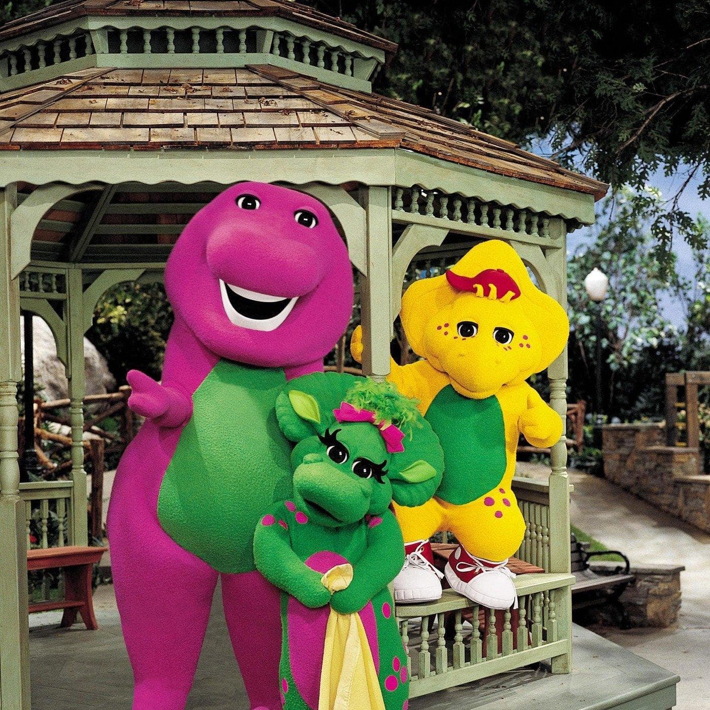 The Best '90s PBS Shows, Ranked