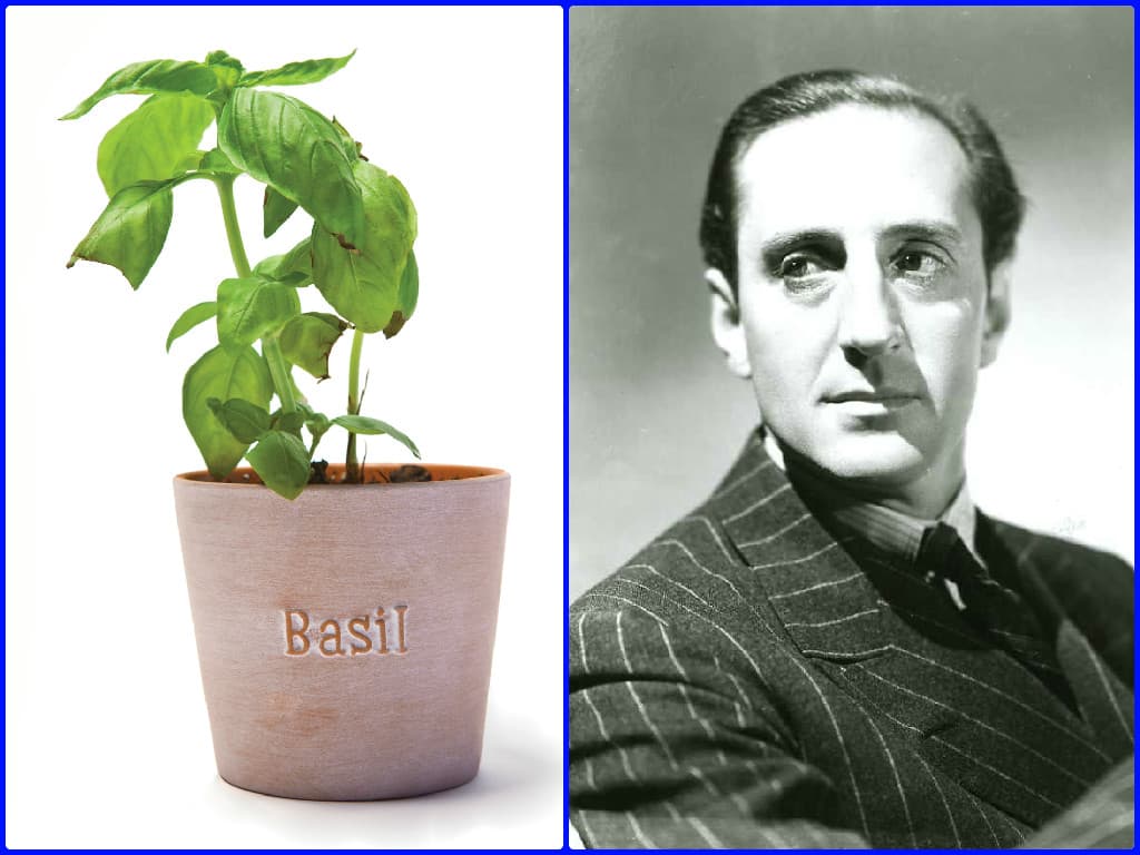 Celebrities with Food Names | Famous People Food Names