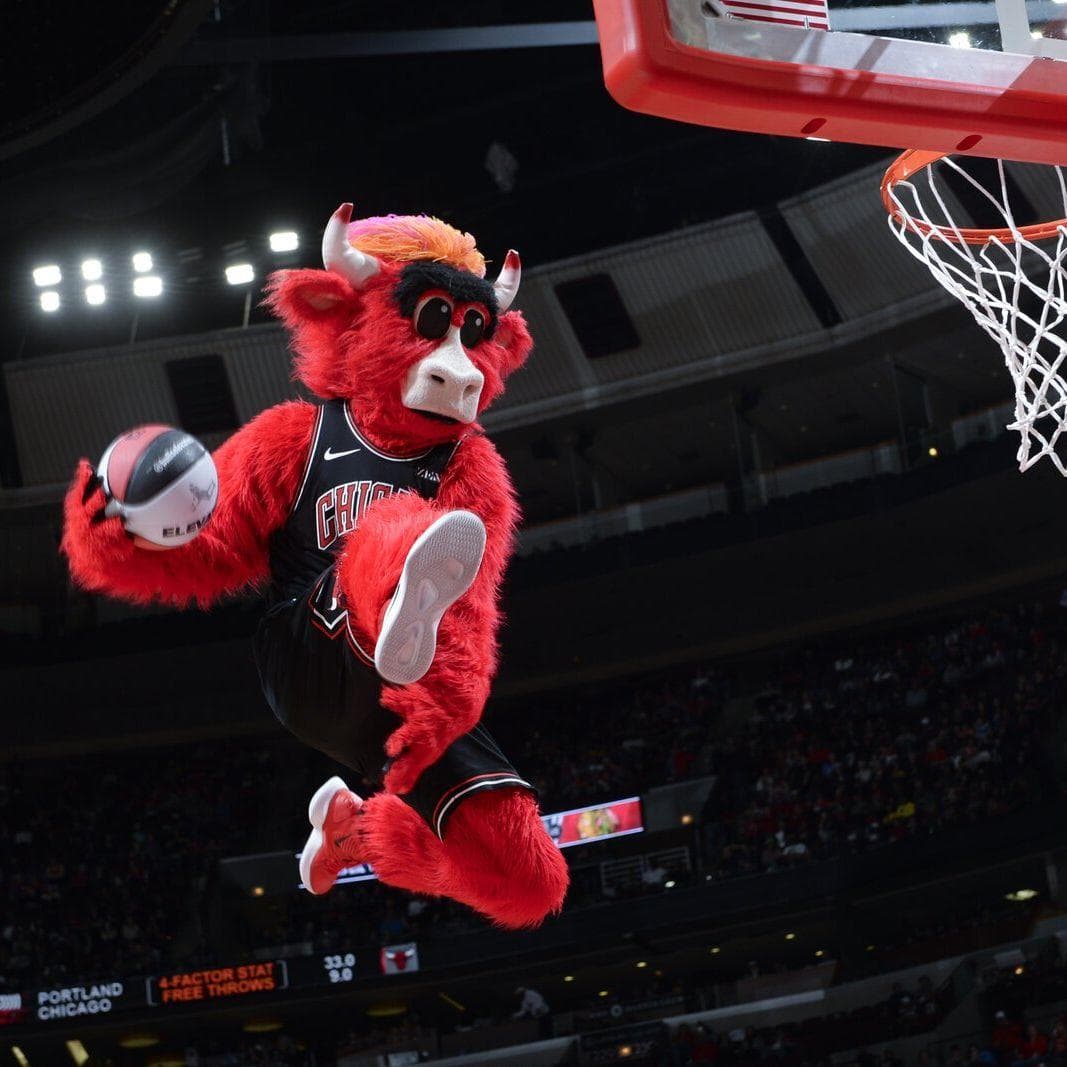 The 26 Best NBA Mascots Right Now, Ranked