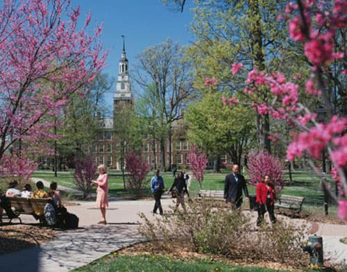 Best Southern Colleges | List of Little Ivies and Elite Universities in ...