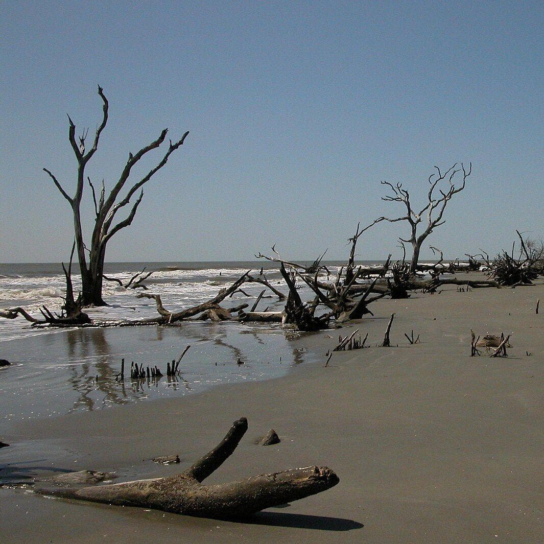 15 Great Beaches In Florida That Only Locals Know About, Ranked