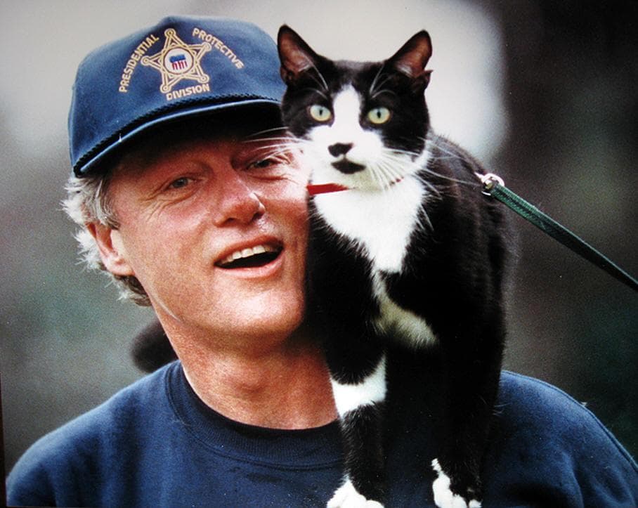 Celebrities Who Have Cats | List of Famous Cat People