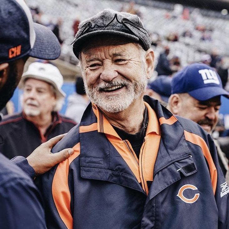 Celebrity Bears Fans | Celebrities at Chicago Bears Games