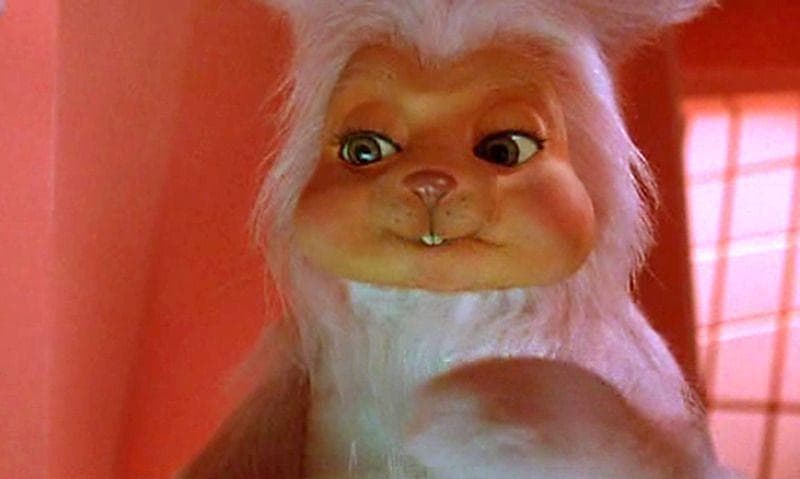 The Scariest Bunnies From Movies, Ranked By Hopping Horror