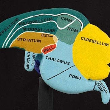 The Most Ridiculous & Lamest Superheroes Ever