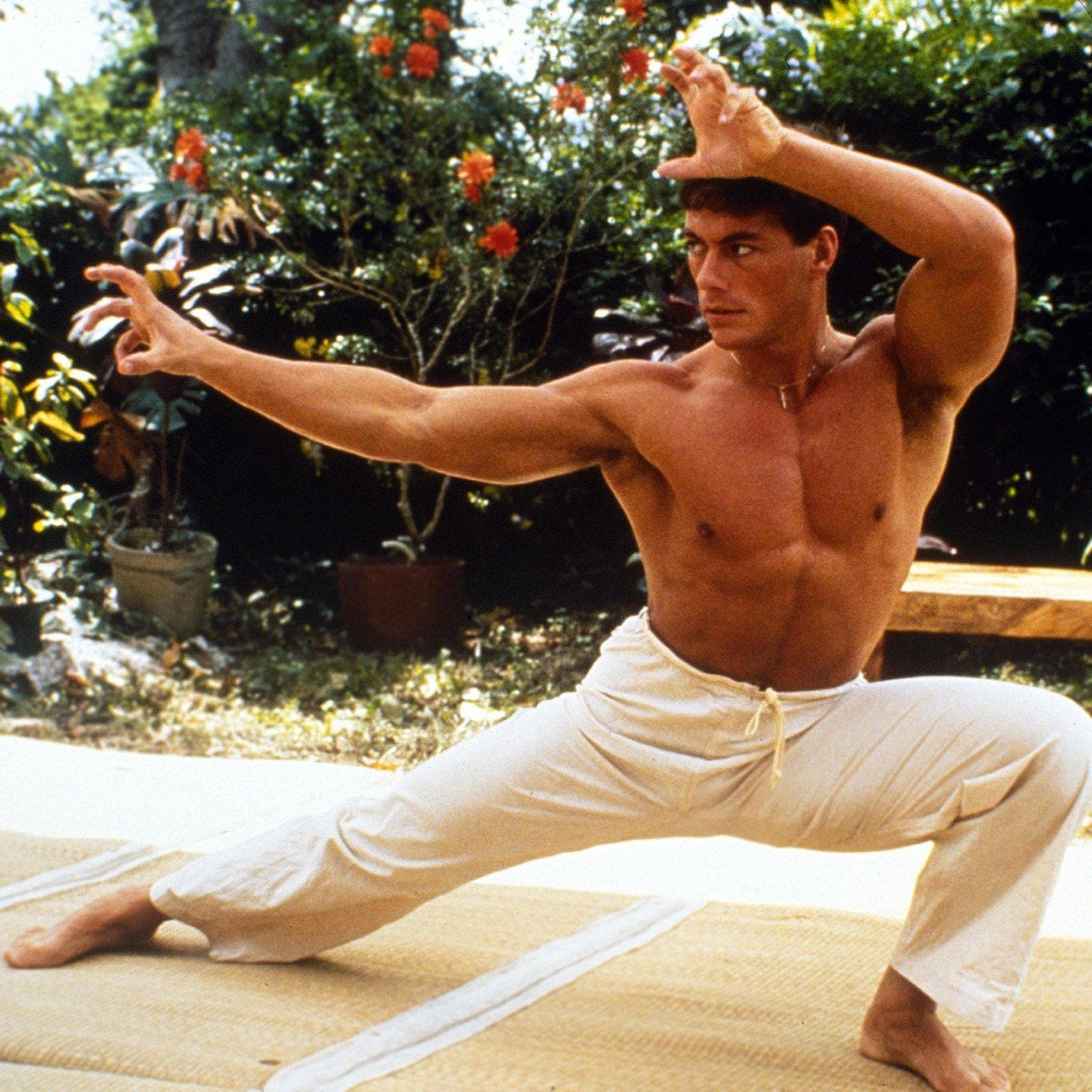 The 15 Best MMA Movies, Ranked By Fans