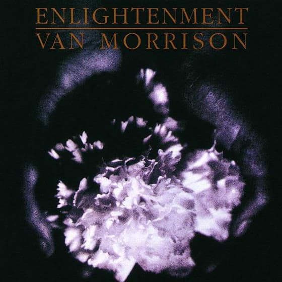 The 35 Best Van Morrison Albums, Ranked By Fans