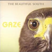 The Best Beautiful South Albums, Ranked By Fans