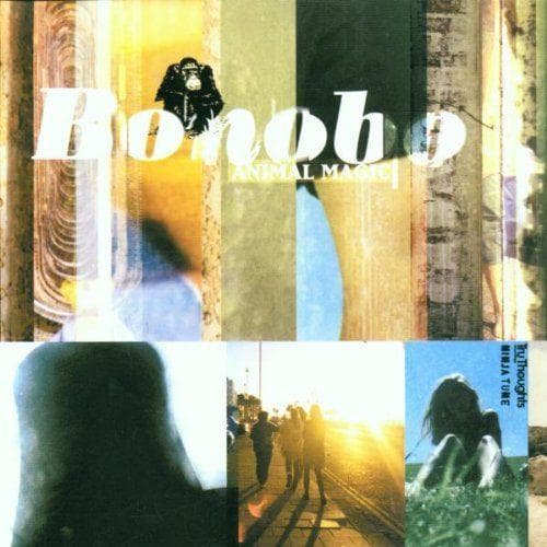 Ranking All 6 Bonobo Albums, Best To Worst