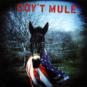 List of All Top Gov't Mule Albums, Ranked