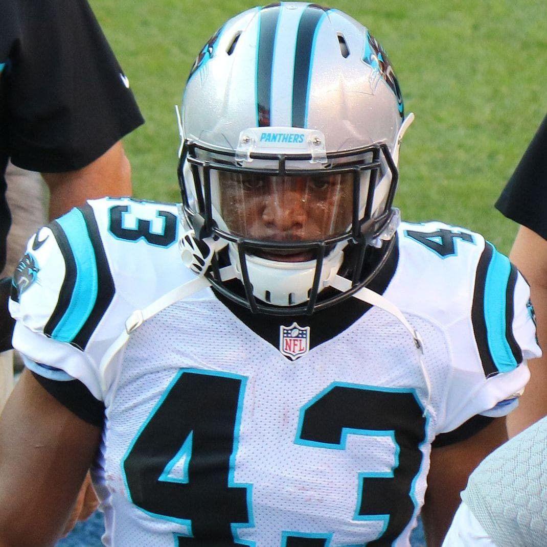 The Best Athletes Who Wore Number 43, Ranked By Fans