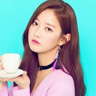 10+ Female Kpop Idols Born In 1993