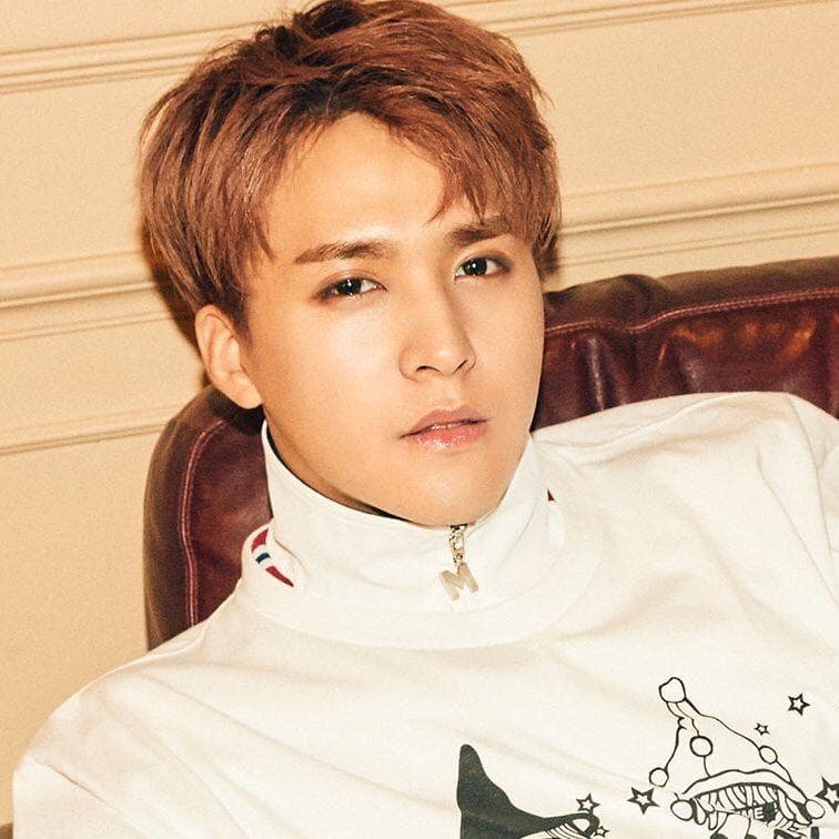 Ranking Highlight Members, Best to Worst | Vote for Your BEAST Bias