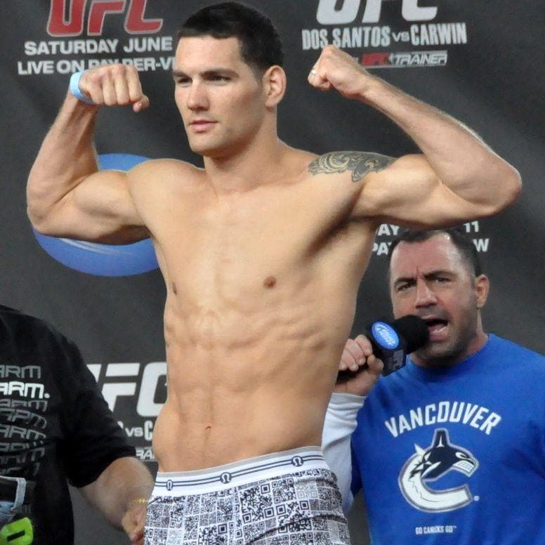 The 50 Best MMA Grapplers Of All Time, Ranked