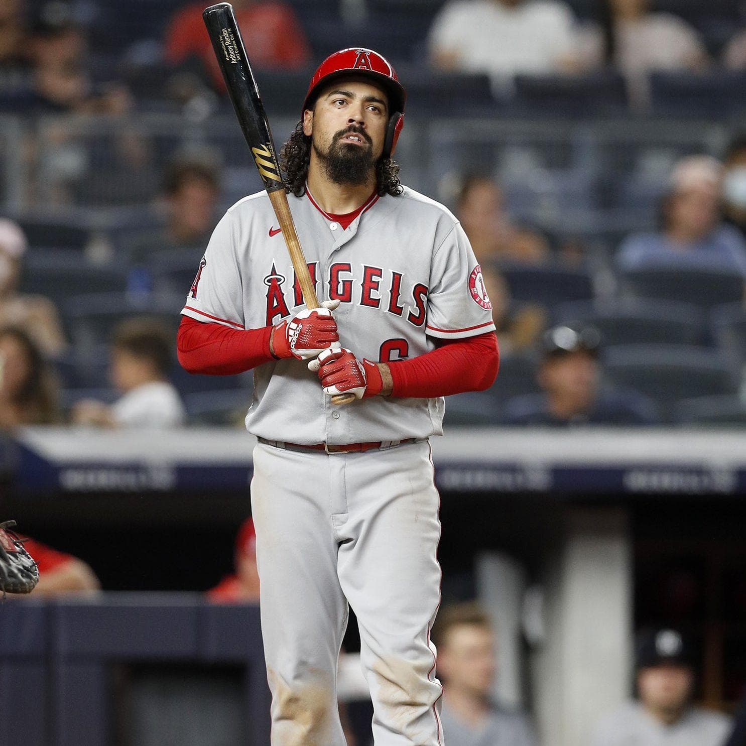 The Best Los Angeles Angels Of 2024, Ranked By Fans