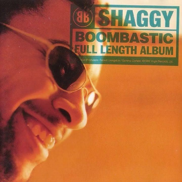 The Best Shaggy Albums, Ranked By Fans