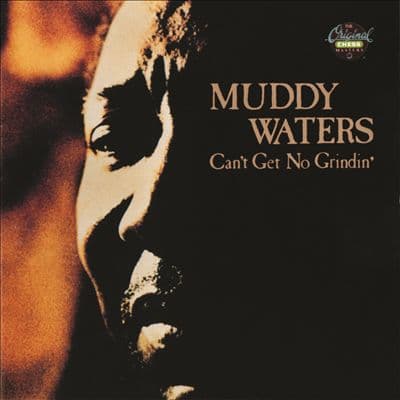 The Best Muddy Waters Albums, Ranked By Fans