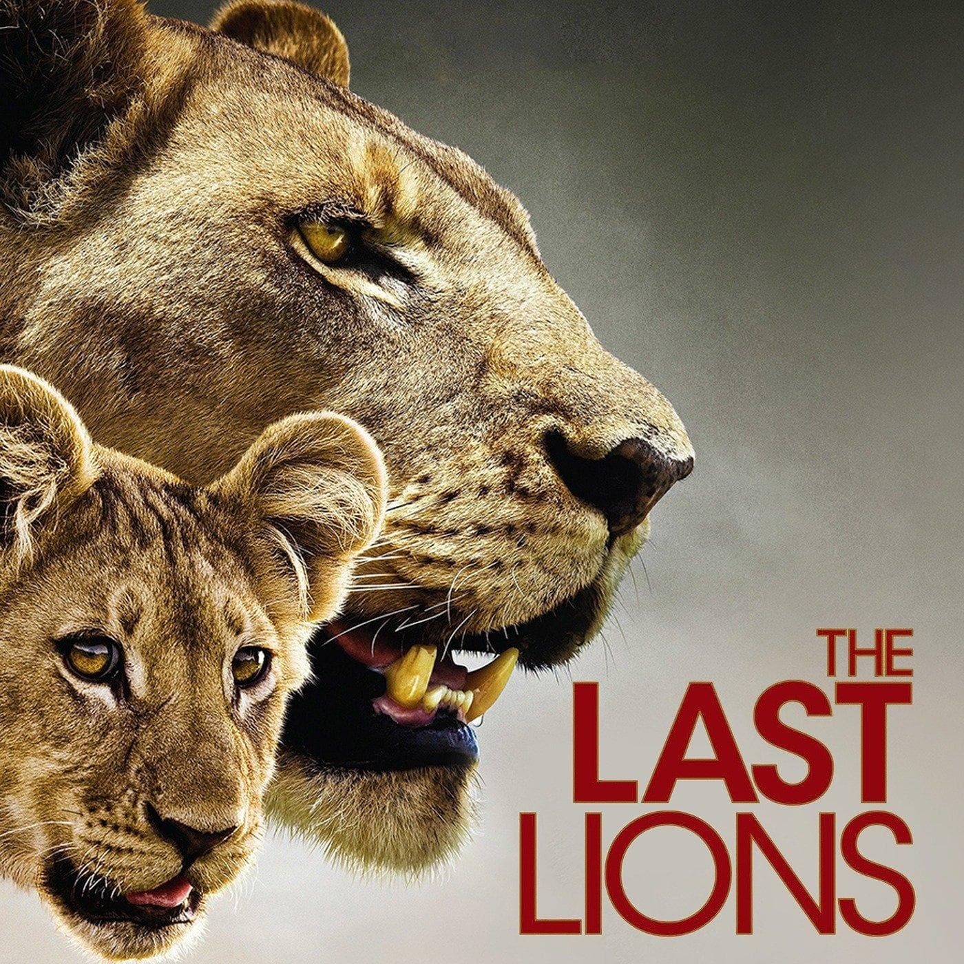 The 31 Best Movies About Lions, Ranked By Fans