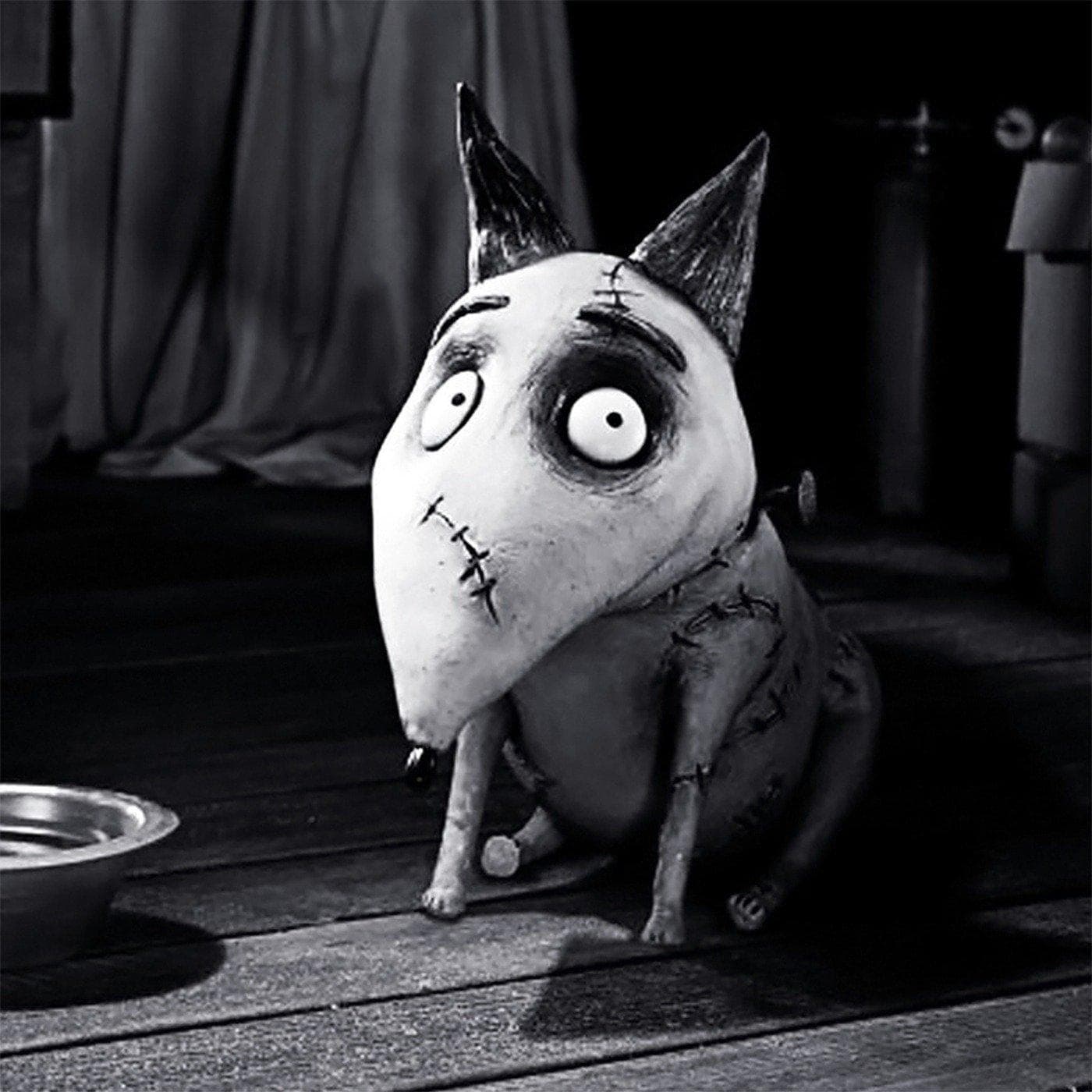 The 25 Best Movies Like 'Corpse Bride', Ranked By Fans