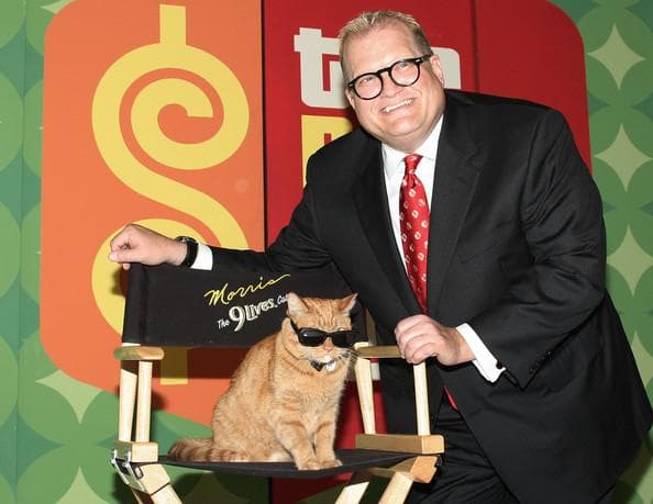 Celebrities Who Have Cats | List of Famous Cat People