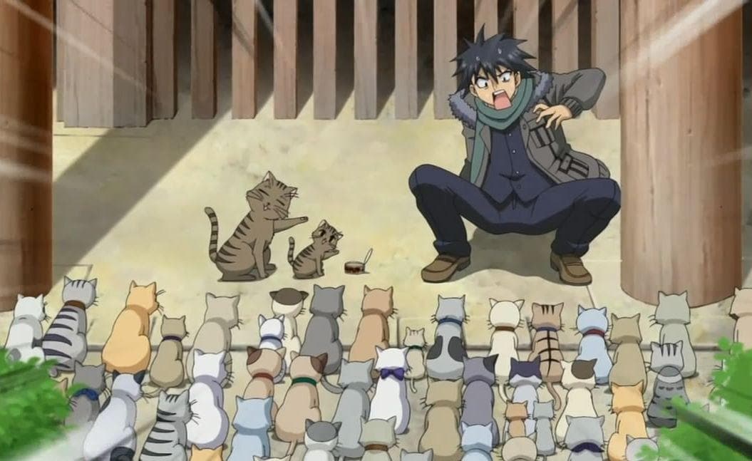 The 13 Best Anime For Cat Lovers, Ranked By Fans