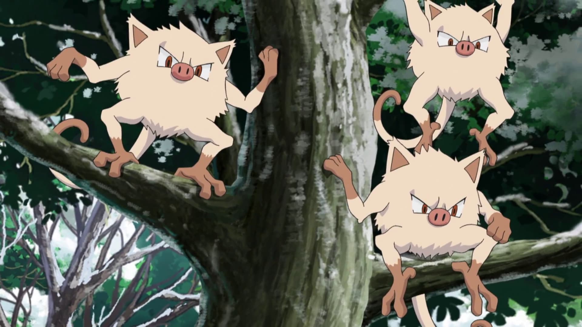 Every Generation 1 Fighting Type Pokémon, Ranked by Fans