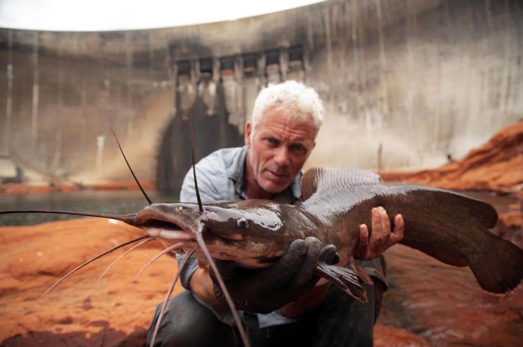 The Craziest Animals That Live In The Nile River You'd Never Want To ...