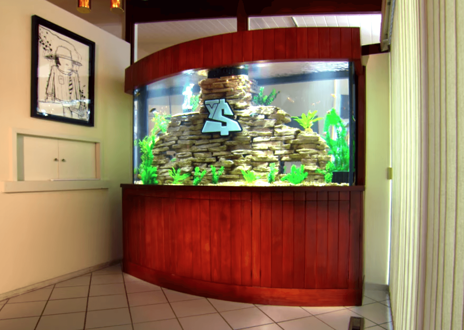 Celebrities with Fish Tanks | Famous People Who Have Aquariums