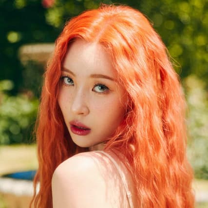 The 15+ Best K-pop Idols With Orange Hair, Ranked By Fans