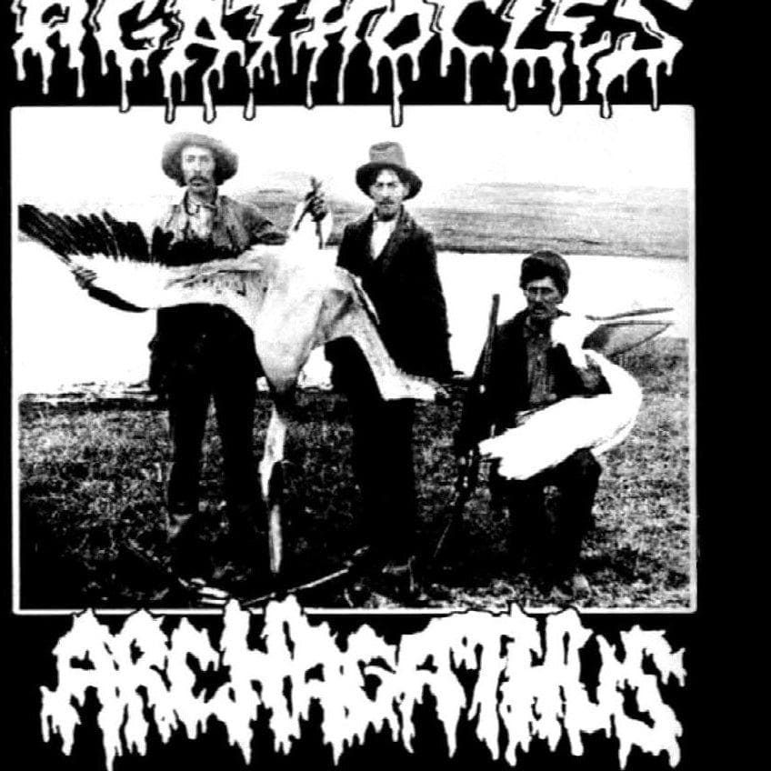 Mincecore Bands | List of Best Mincecore Artists/Groups