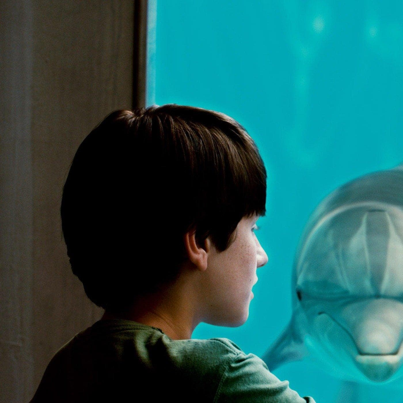 The Best Movies With Dolphins Ranked
