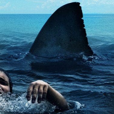 The Best Horror Movies About Sharks, Ranked