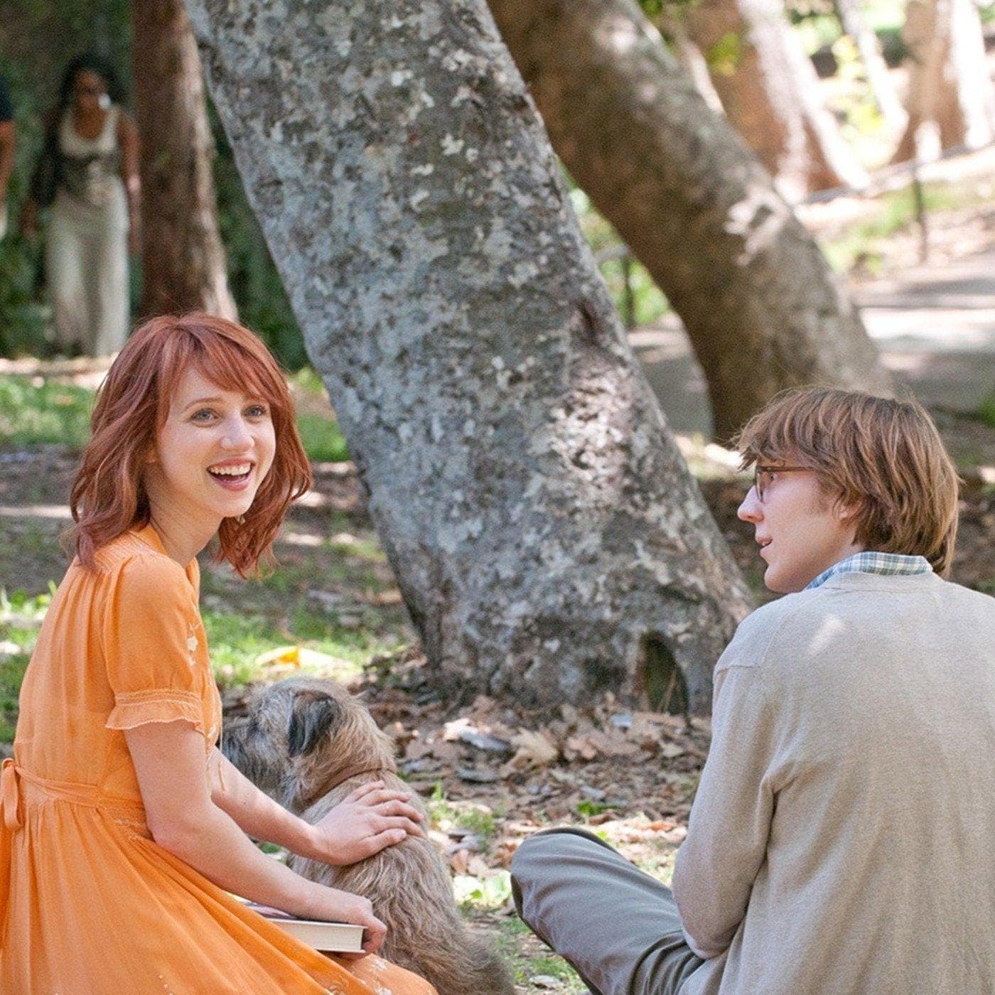 The 20 Best Movies Similar To 'Little Miss Sunshine', Ranked