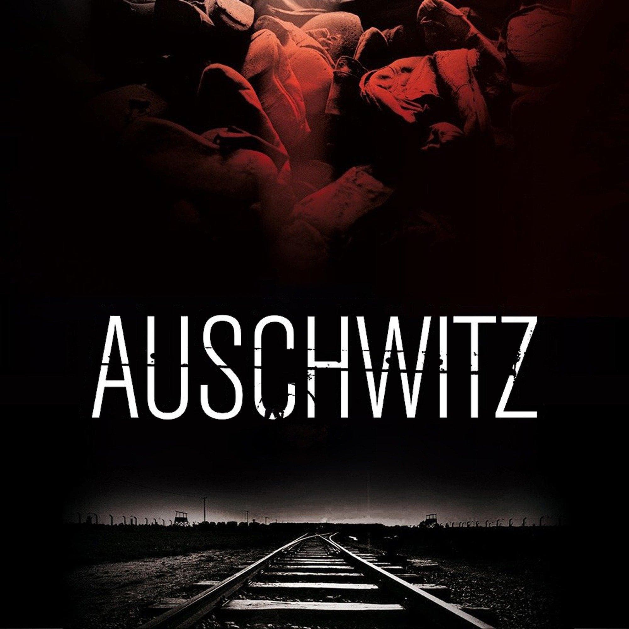 20 Powerful Movies About The Holocaust, Ranked