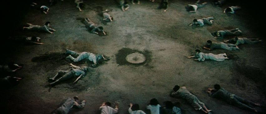 Pretty Good Criterion Horror Films, Ranked By Fans